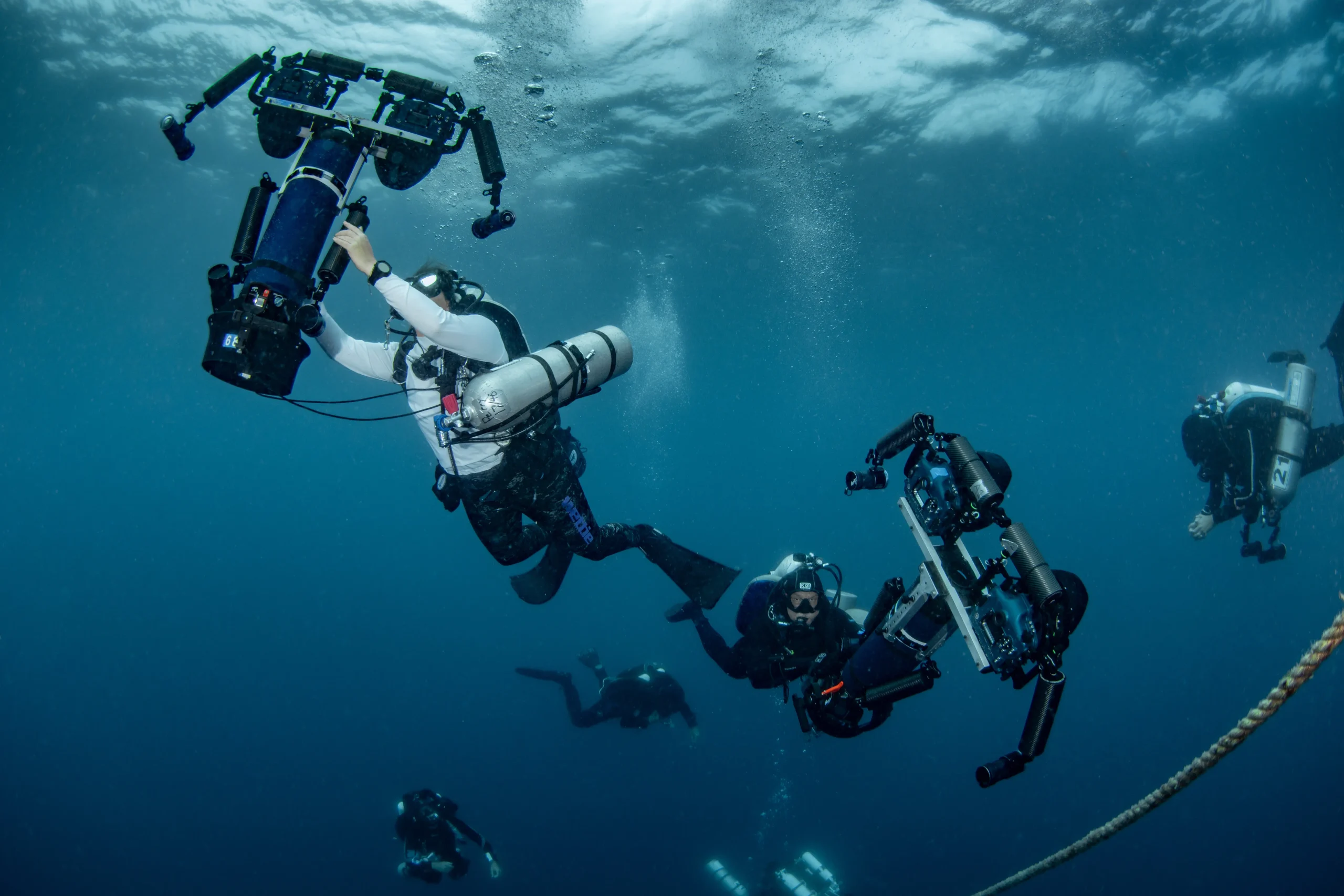 Disclaimer - Major Projects Foundation